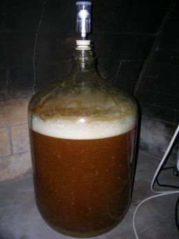 Primary Fermentation | Homebrew Talk - Beer, Wine, Mead, & Cider ...